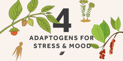 What Are Adaptogens and What Do They Do? | BODi