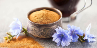 3 Chicory Root Benefits That Might Surprise You | BODi