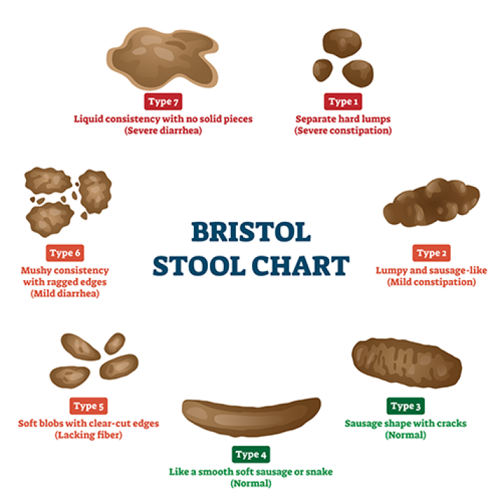 How to Read Your Poop for Diet Clues