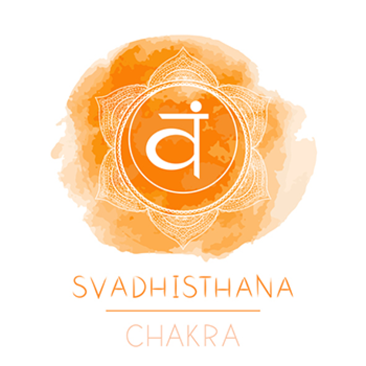 What Are the 7 Chakras? A Beginner’s Guide - Roidless