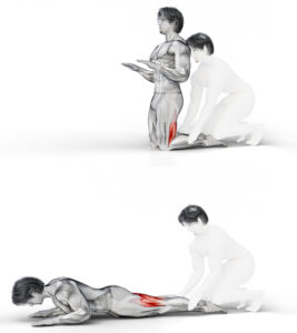 6 Ways to Do a Hamstring Curl Without a Machine – Roidless